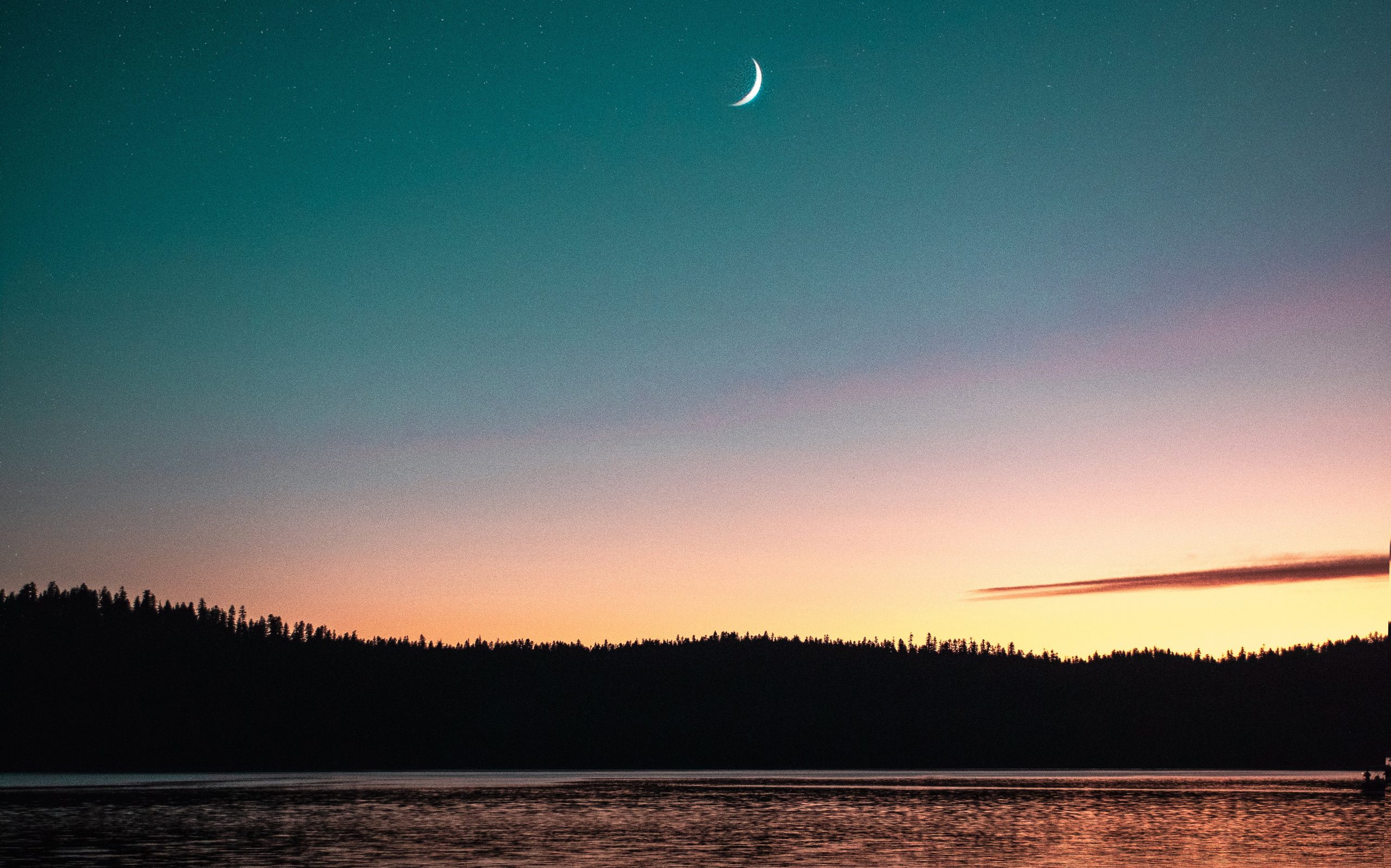 First Spring New Moon: 5 Focus Areas * The Seasonal Soul