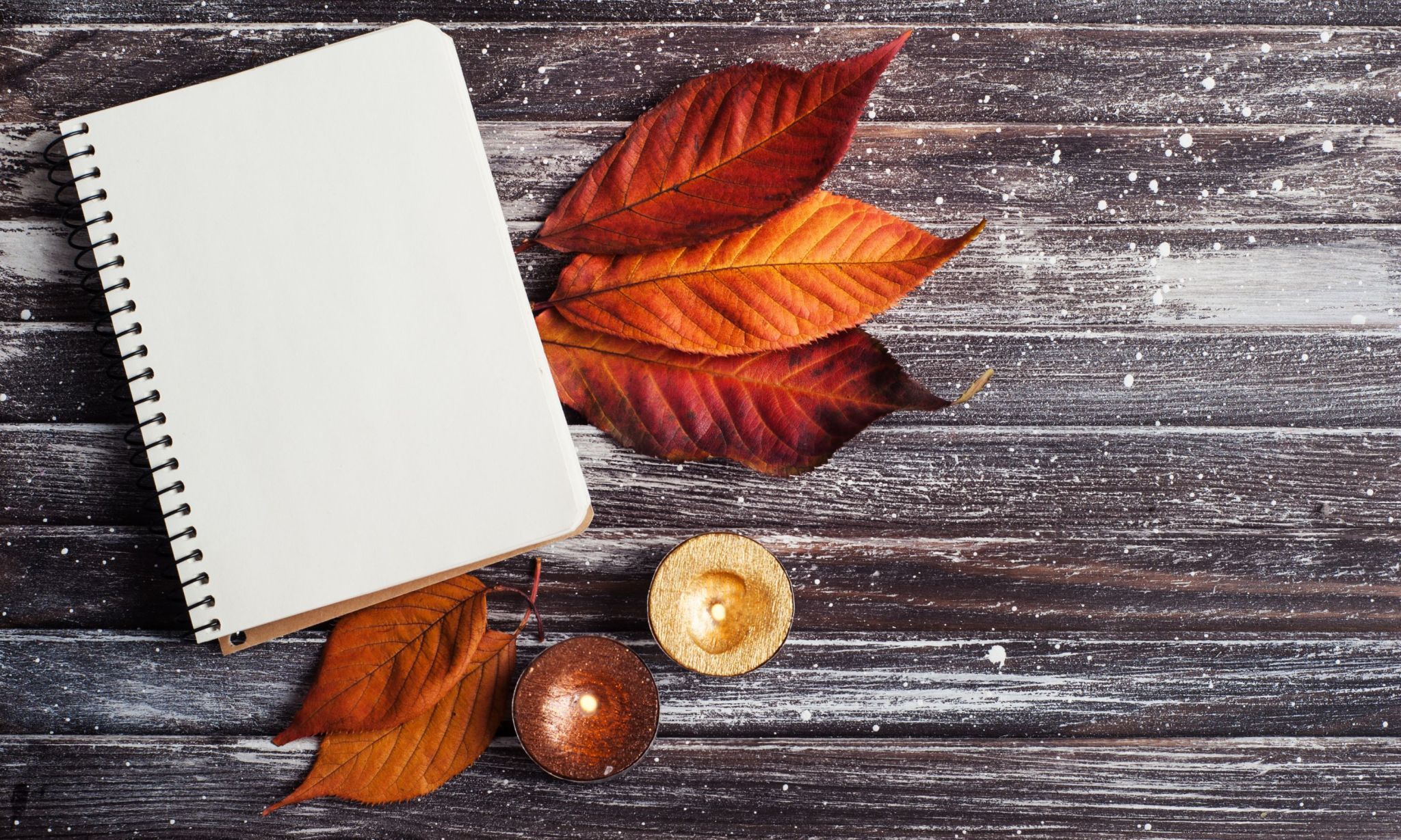 How the Autumn Equinox Influences You Mentally & Emotionally – The ...