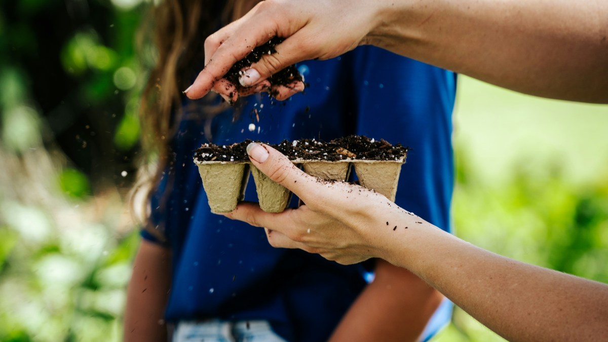 A SIMPLE Spring Equinox Ritual for Kids & Families - The Seasonal Soul