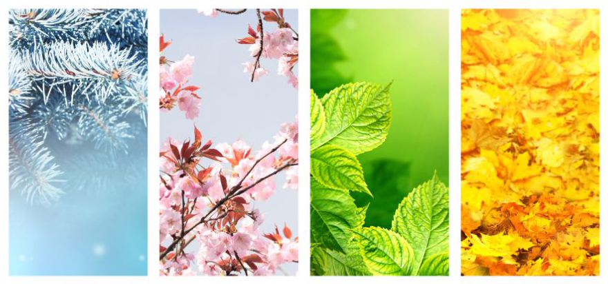 The Wheel of the Year: A Guide to Seasonal Living